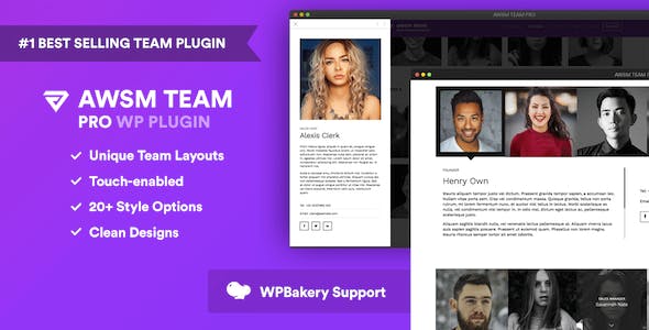 The Team Pro _ WordPress Plugin