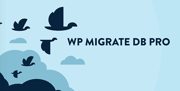 Seamlessly Migrate Sites with WP Migrate Pro Plugin